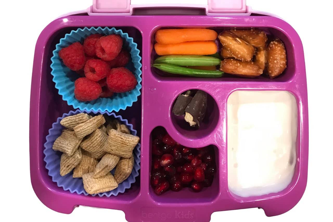 Bentgo Lunch Box Ideas for Kids (Picky Eater Approved)
